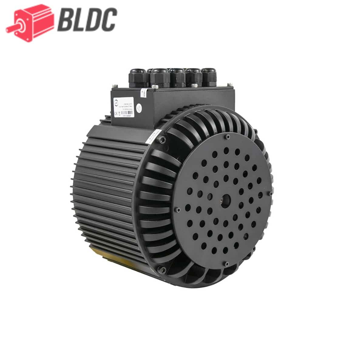 Power Your Innovation: High-Performance BLDC Motors, Gear Motors ...